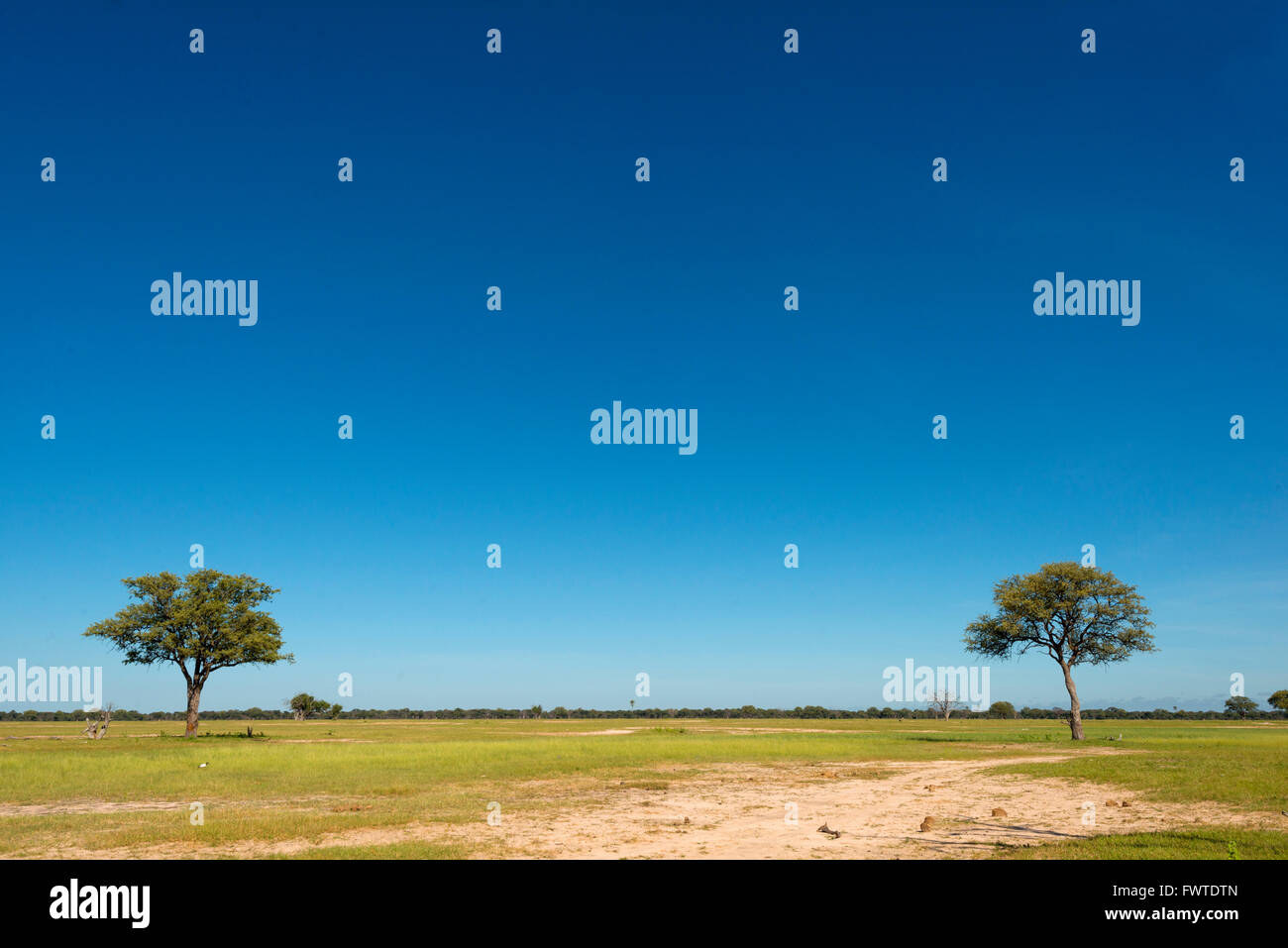 Bulaw hi-res stock photography and images - Alamy