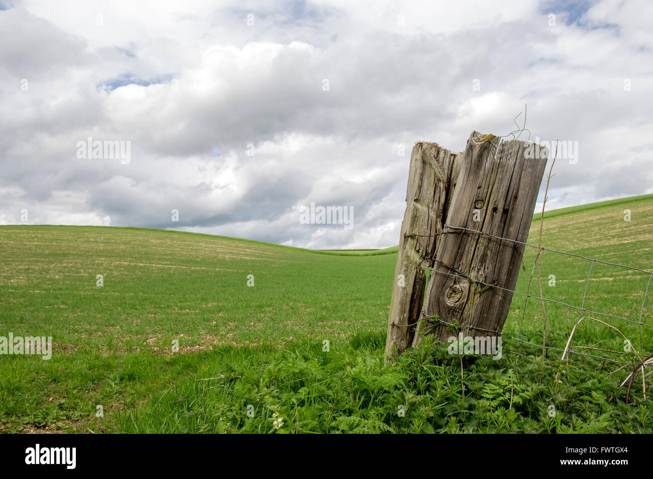 Driffield yorkshire fields hi-res stock photography and images - Alamy