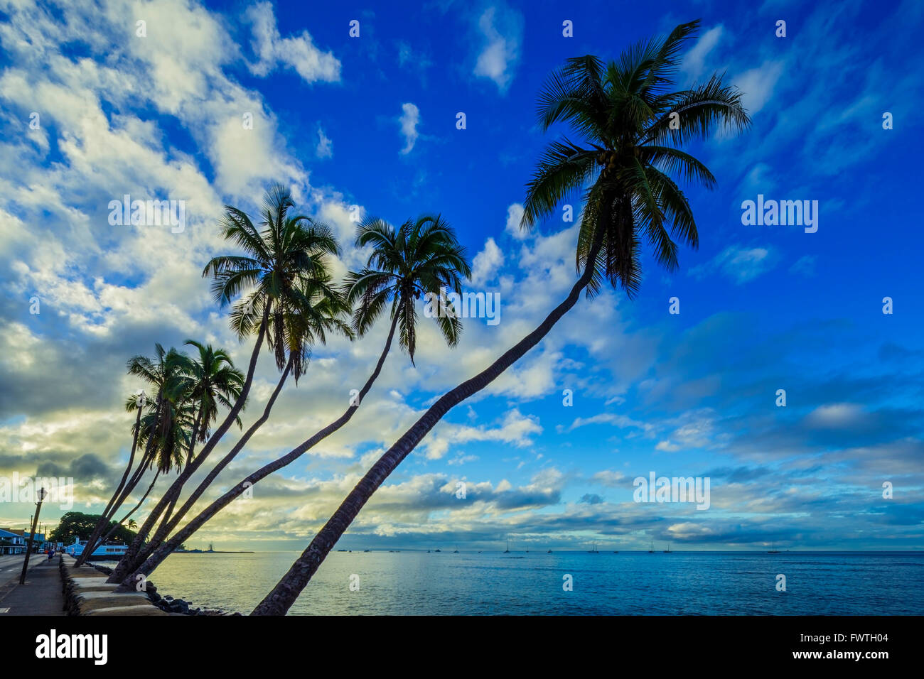 Front Street in Lahaina at dawn, Maui Stock Photo - Alamy