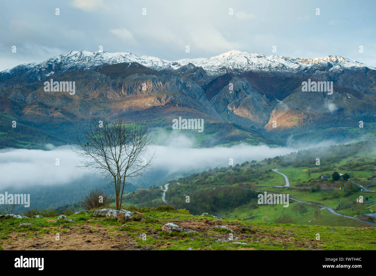 Picos de Europa National Park in spring, Asturias, Spain Stock Photo ...