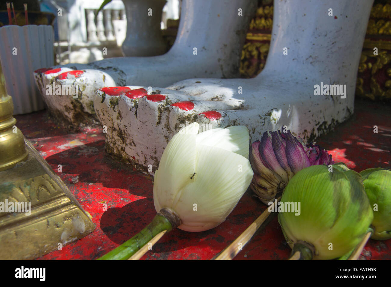 Offerings and ornaments in a Buddhist temple in northern Thailand Stock ...