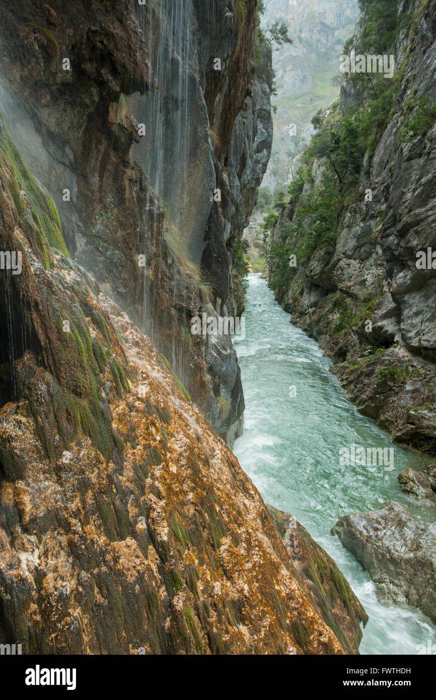 Gorge of river Cares, Cain, Leon, Spain. Picos de Europa National Park ...