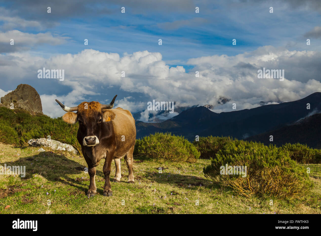 Autumn at picos de europa national park hi-res stock photography and ...