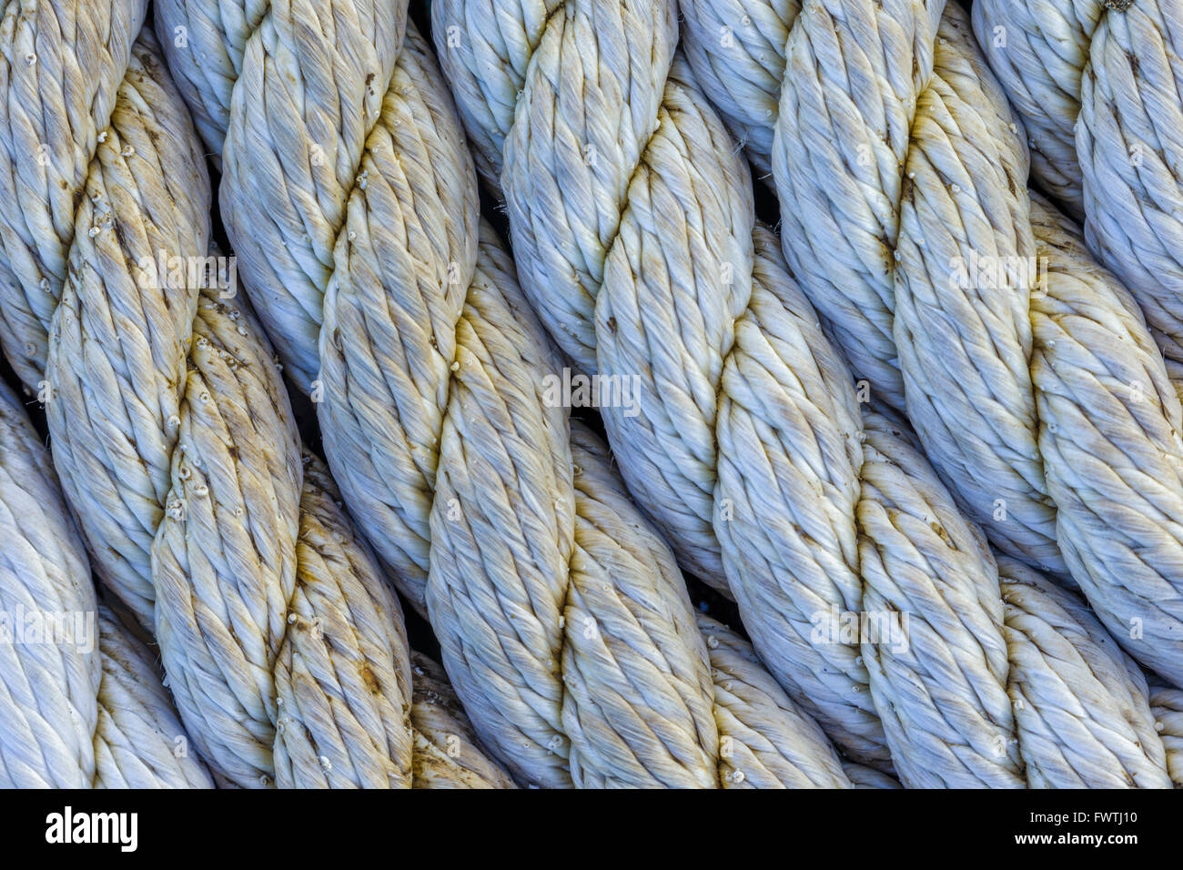 coiled rope on dock in Lahaina Maui Stock Photo - Alamy