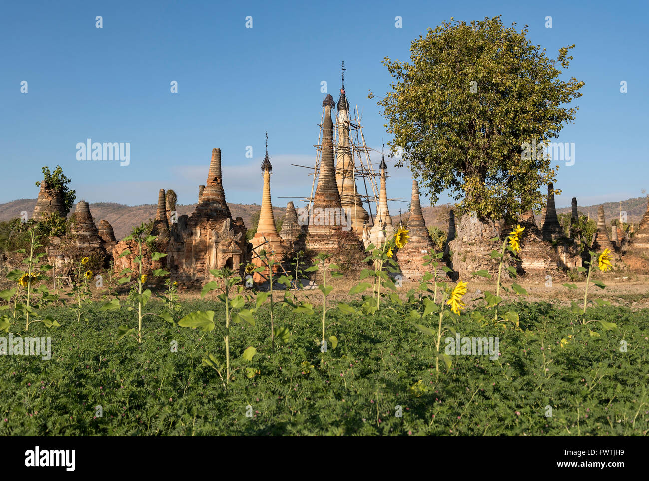 Ancient temples (stupas) of Sankar near Inle Lake, Burma (Myanmar Stock ...
