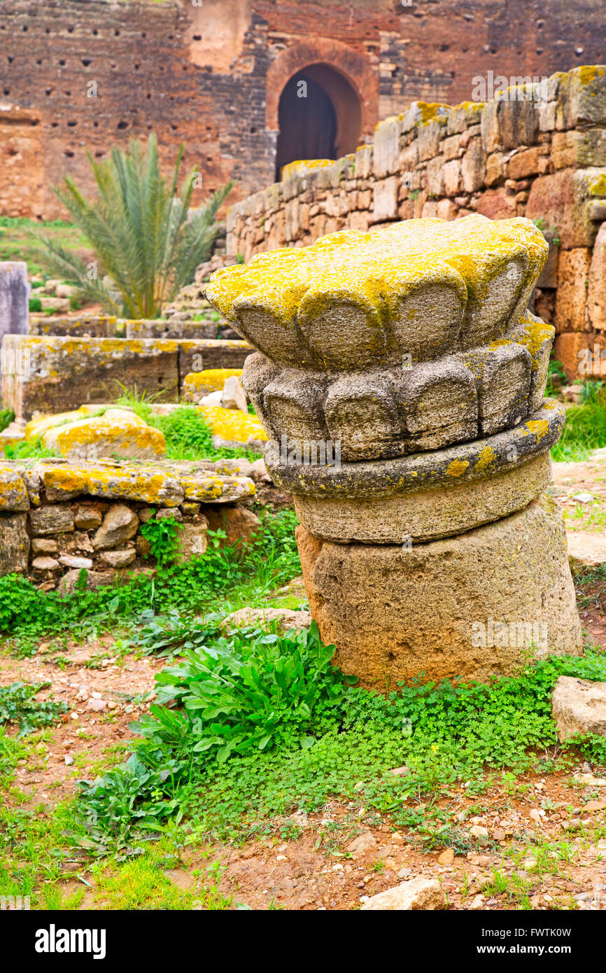 chellah in morocco africa the old roman deteriorated monument and site ...