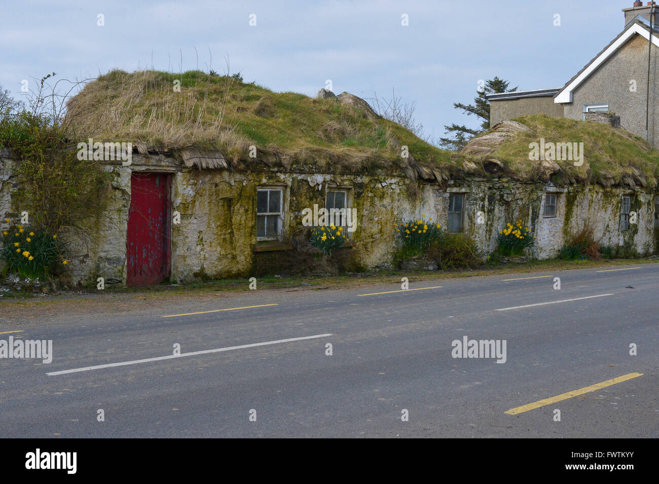 Irish abandoned cottage hi-res stock photography and images - Alamy