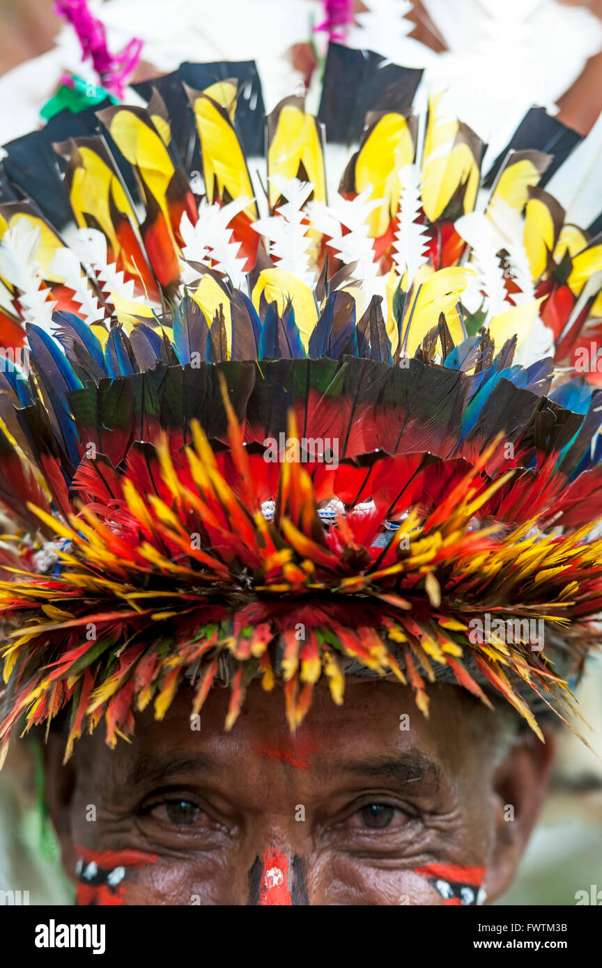 Local Dancer man wearing traditional headdress Maclaren Harbour, Papua ...