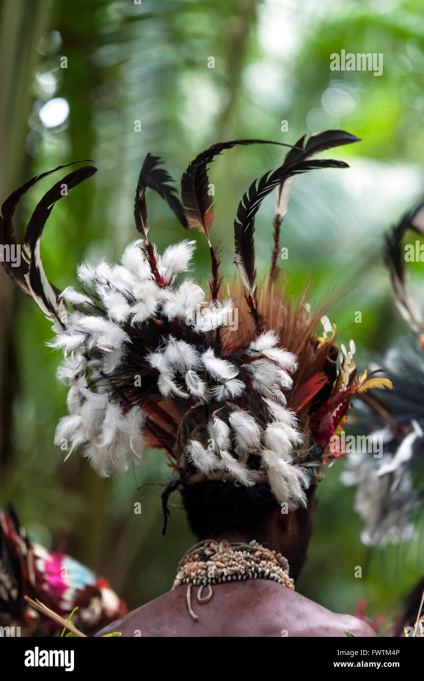 Local Dancer man wearing traditional headdress Maclaren Harbour, Papua ...