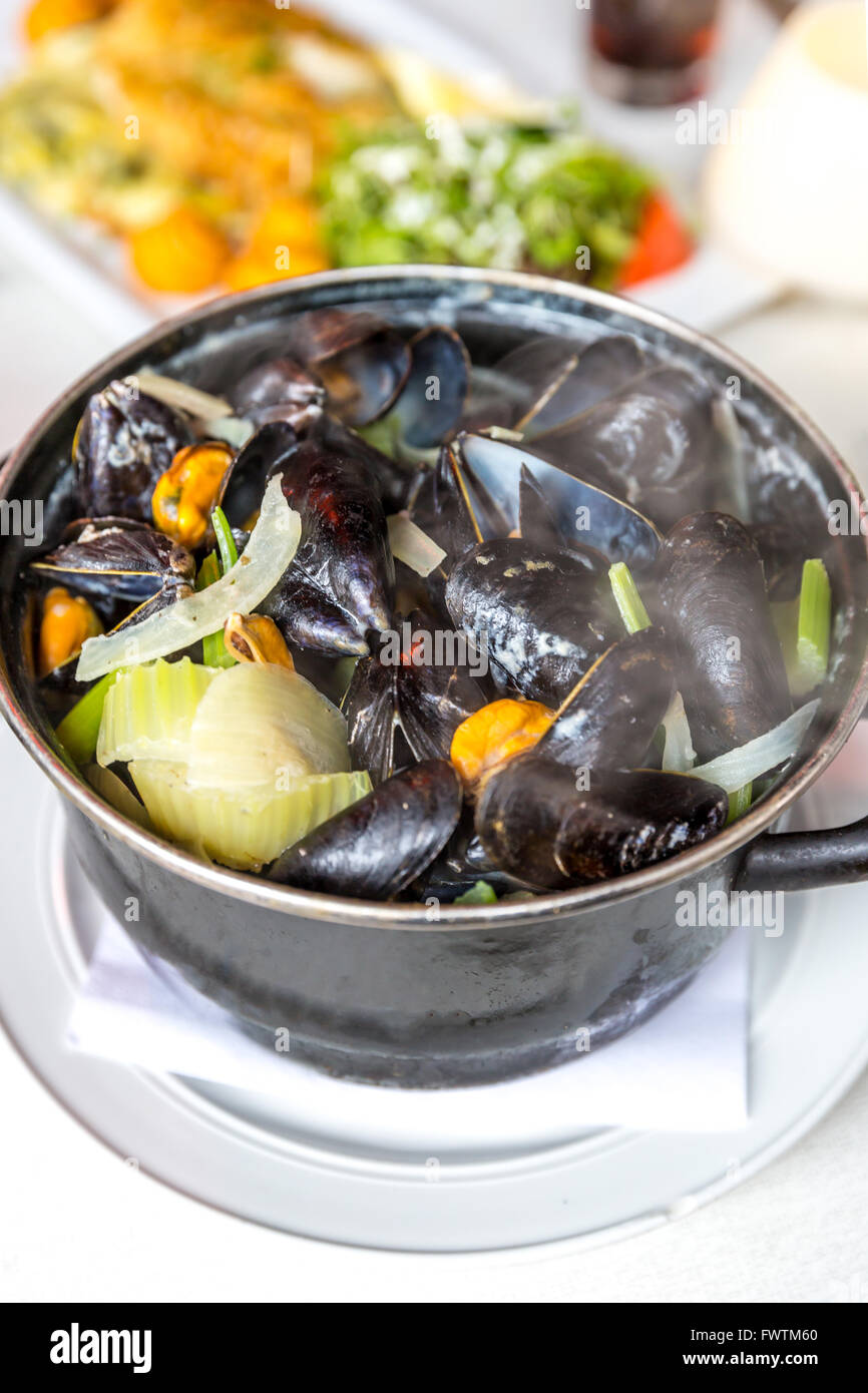 gourmet Steamed mussels with fresh herbs for a tasty seafood meal Stock ...
