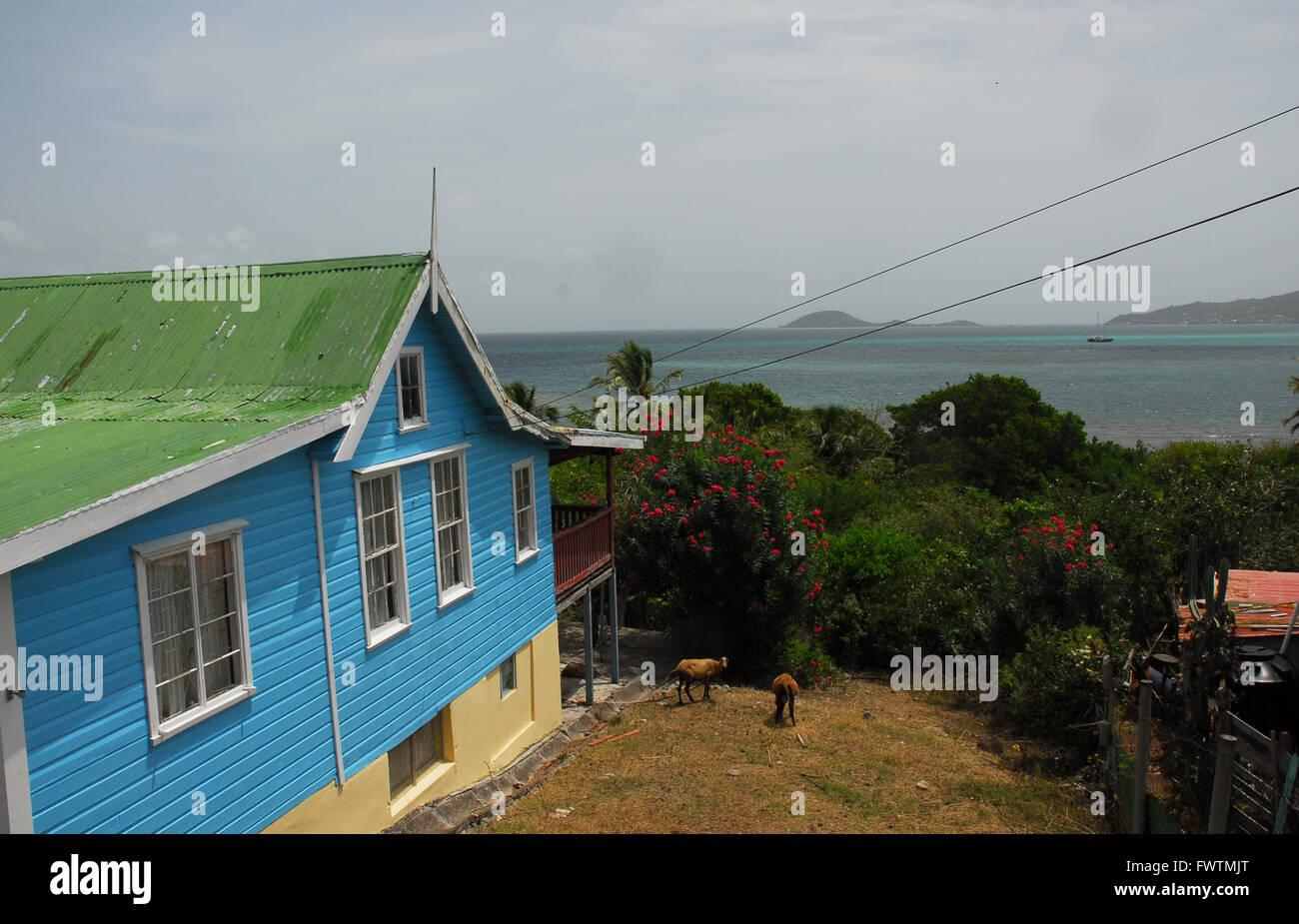 Caribbean, Windward Islands, Carriacou Stock Photo - Alamy