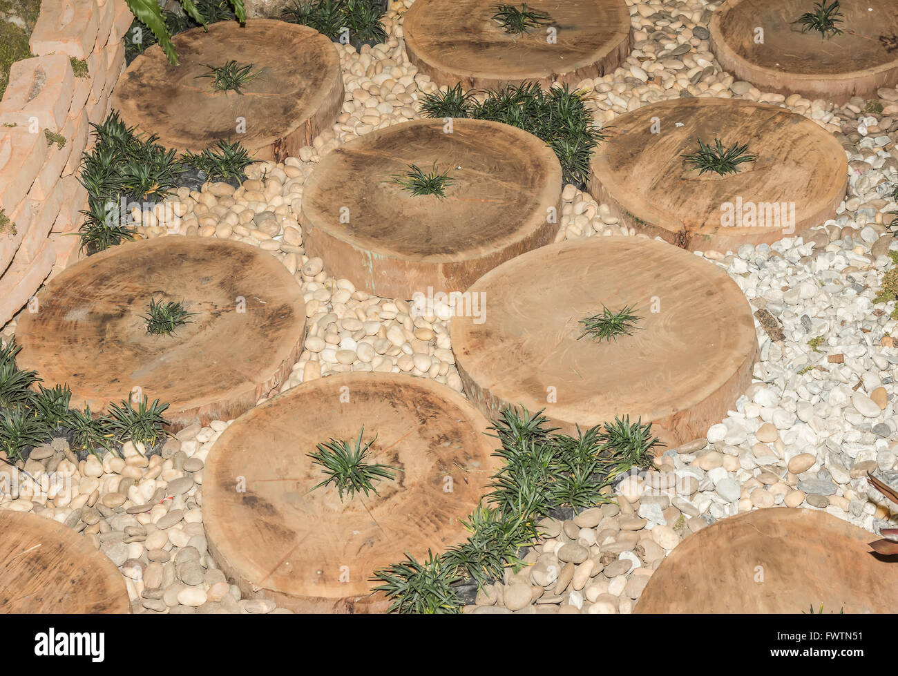 Stone and log walkway winding in garden Stock Photo - Alamy