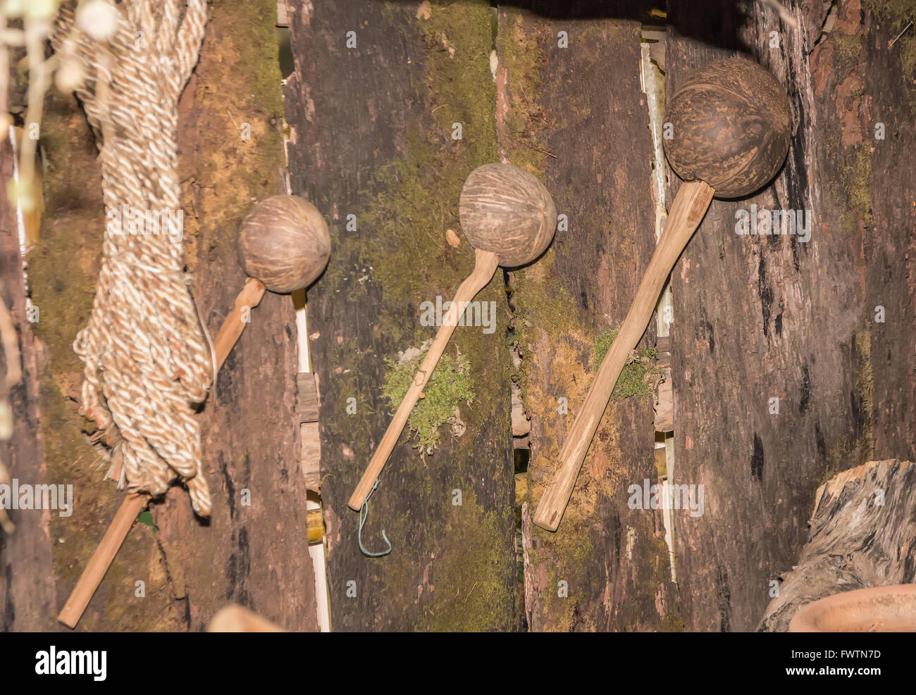 Dipper coconut shell and clay pot with green moss on wooden Stock Photo ...