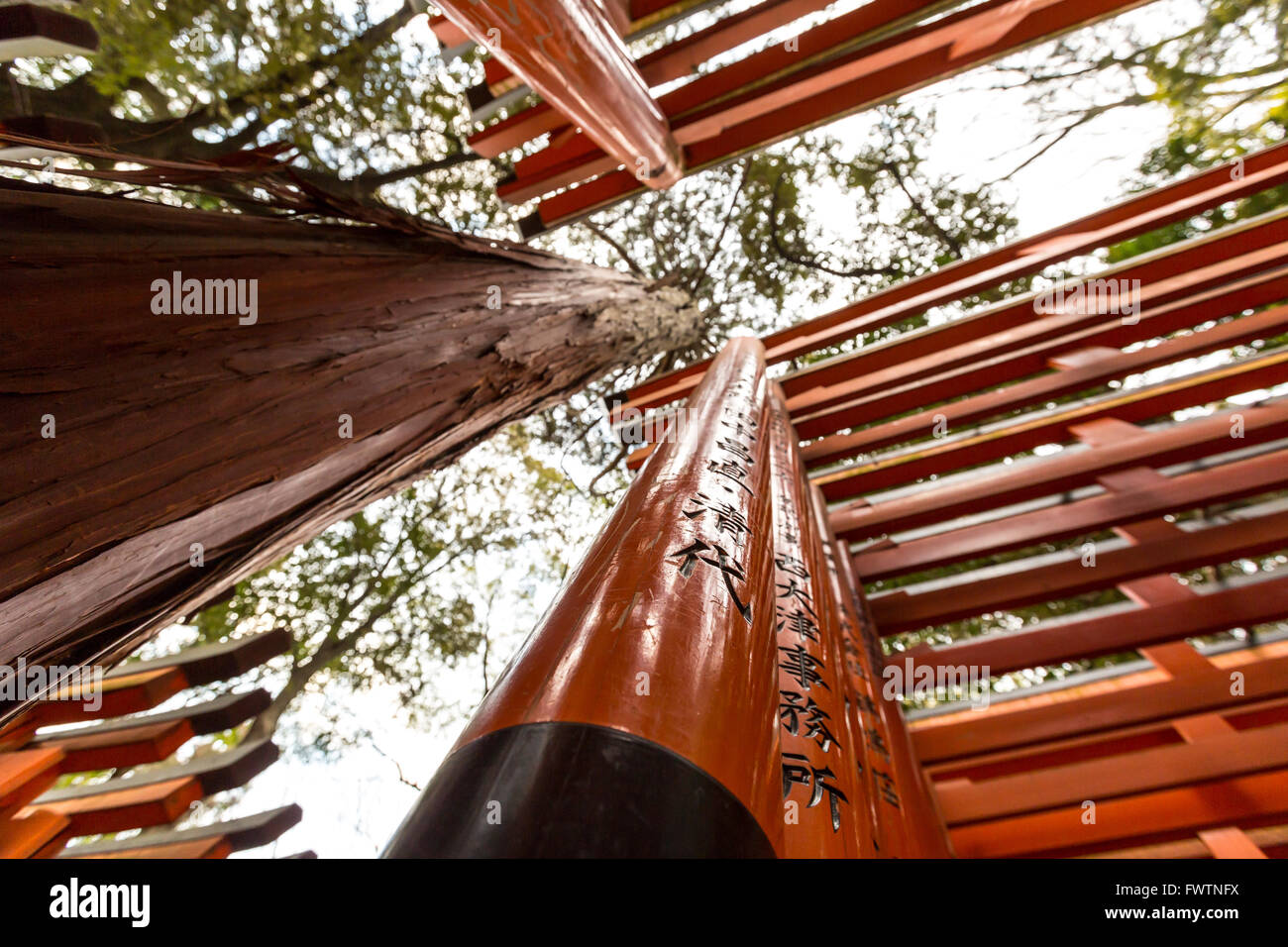 Thousands of vermilion torii gates at Fushimi Inari Taisha Shrine in ...