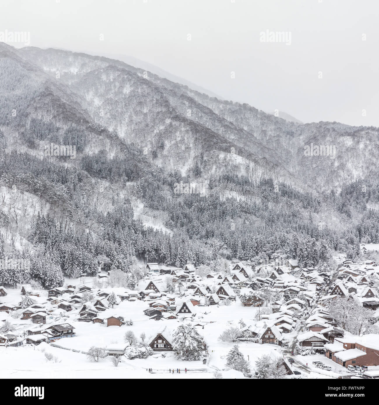 Winter Shirakawago with Snowfall Gifu Chubu Japan Stock Photo - Alamy