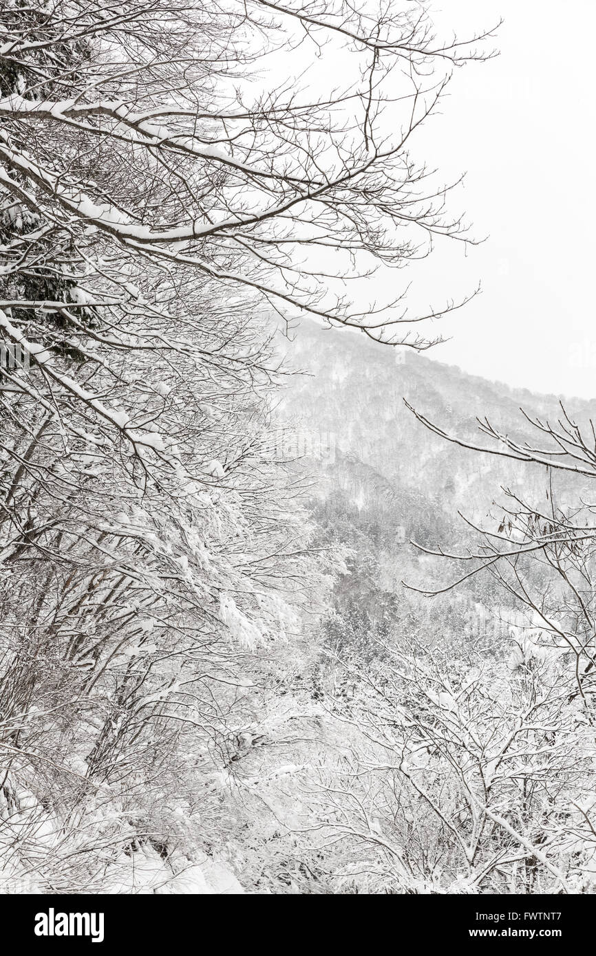 Beautiful snowfall hi-res stock photography and images - Alamy