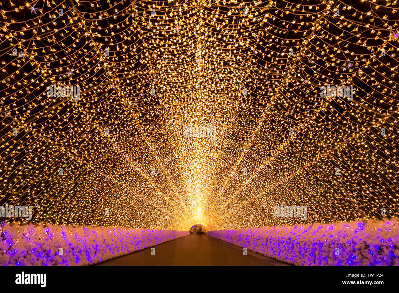 Nagoya, Japan. Nabana no Sato garden at night in winter Stock Photo - Alamy