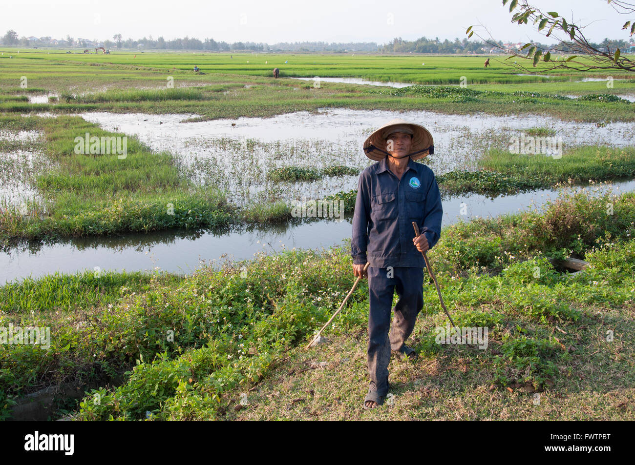 Paddy field worker vietnam hi-res stock photography and images - Alamy