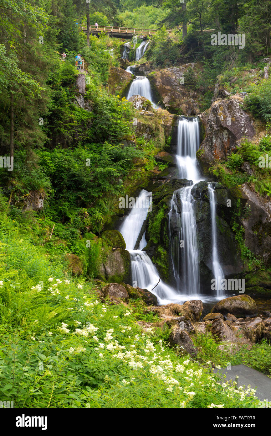 Triberg Falls is one of the highest waterfalls in black forest, Germany ...