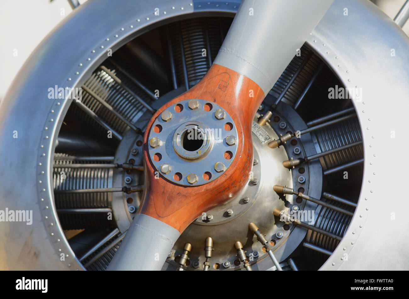 Sopwith Snipe. For the 98th anniversary of the Royal Air Force three ...
