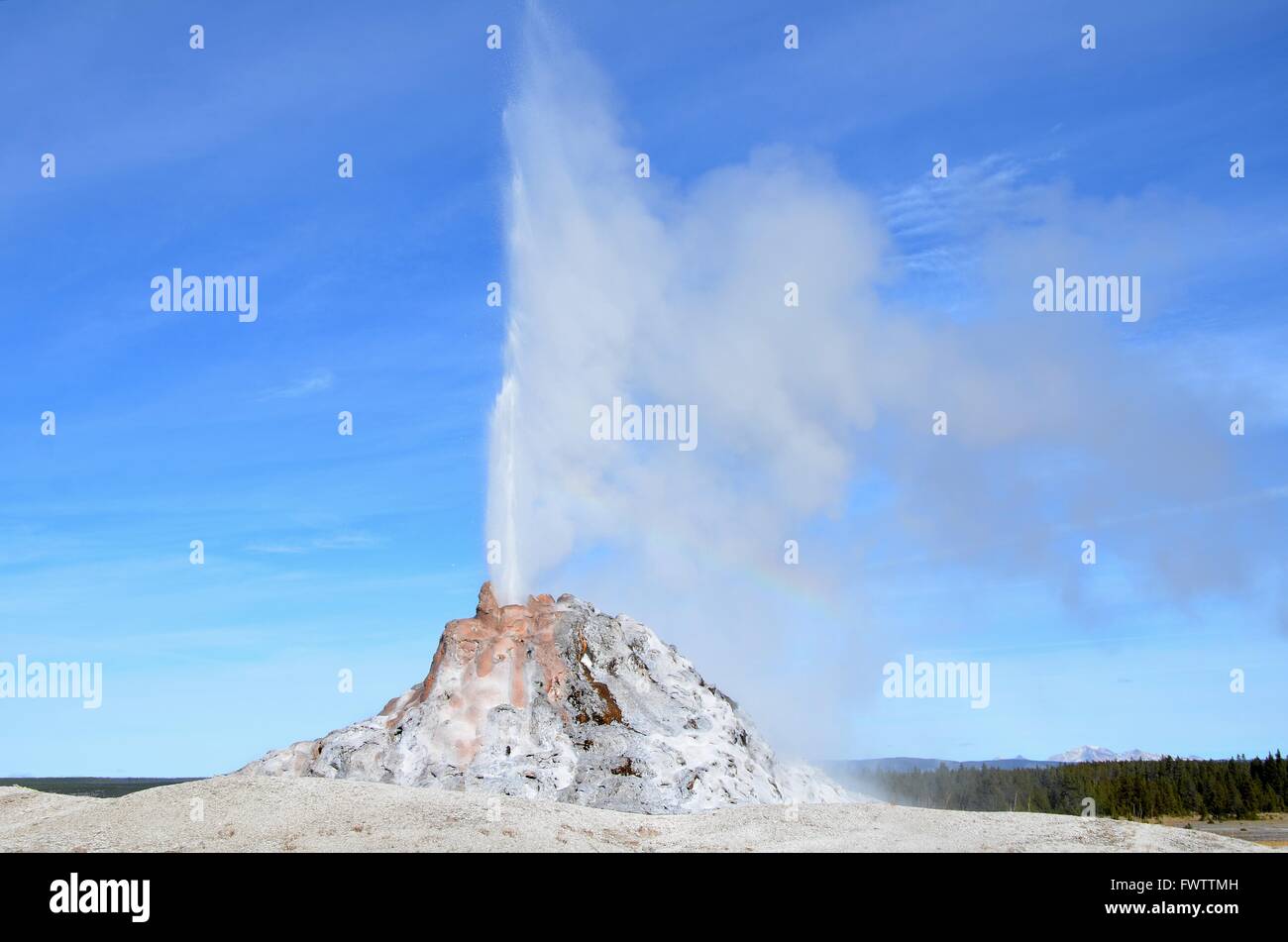 A scene from Yellowstone National Park Stock Photo - Alamy