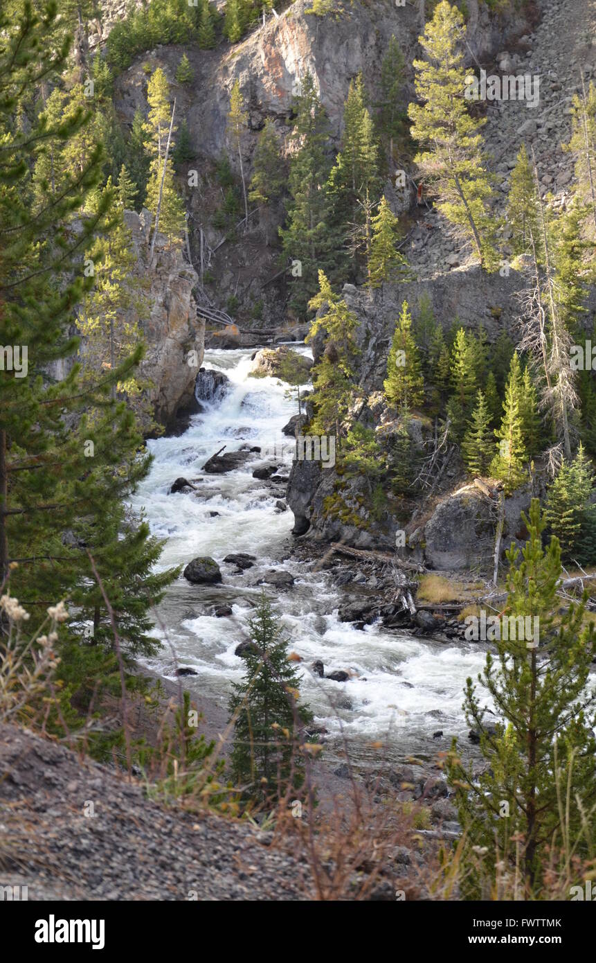 A scene from Yellowstone National Park Stock Photo - Alamy