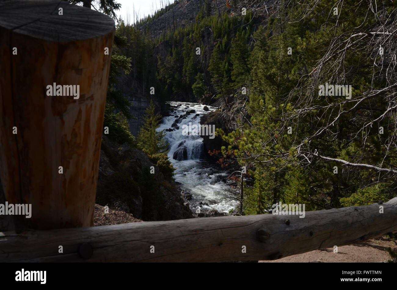 A scene from Yellowstone National Park Stock Photo - Alamy