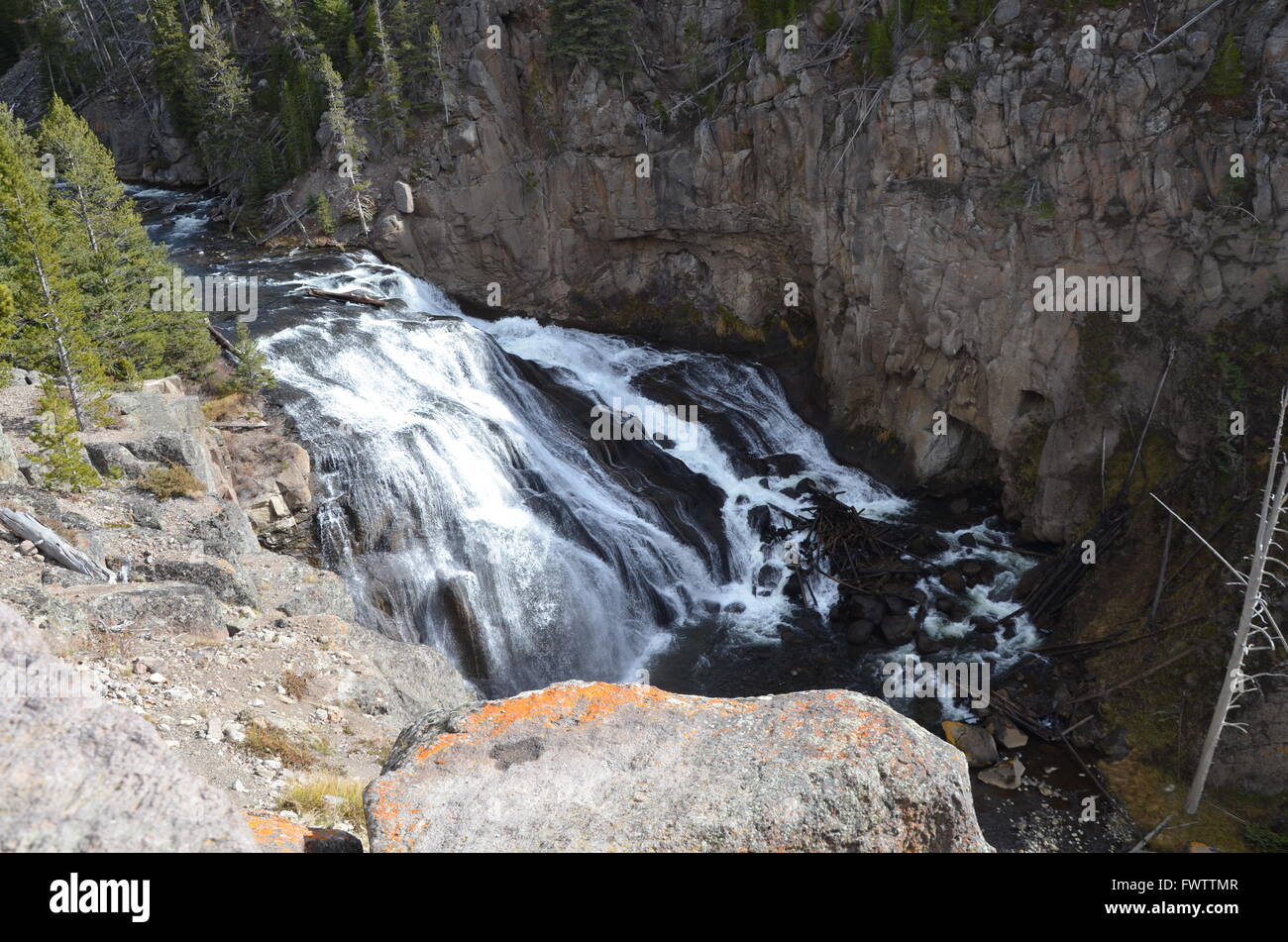 A scene from Yellowstone National Park Stock Photo - Alamy