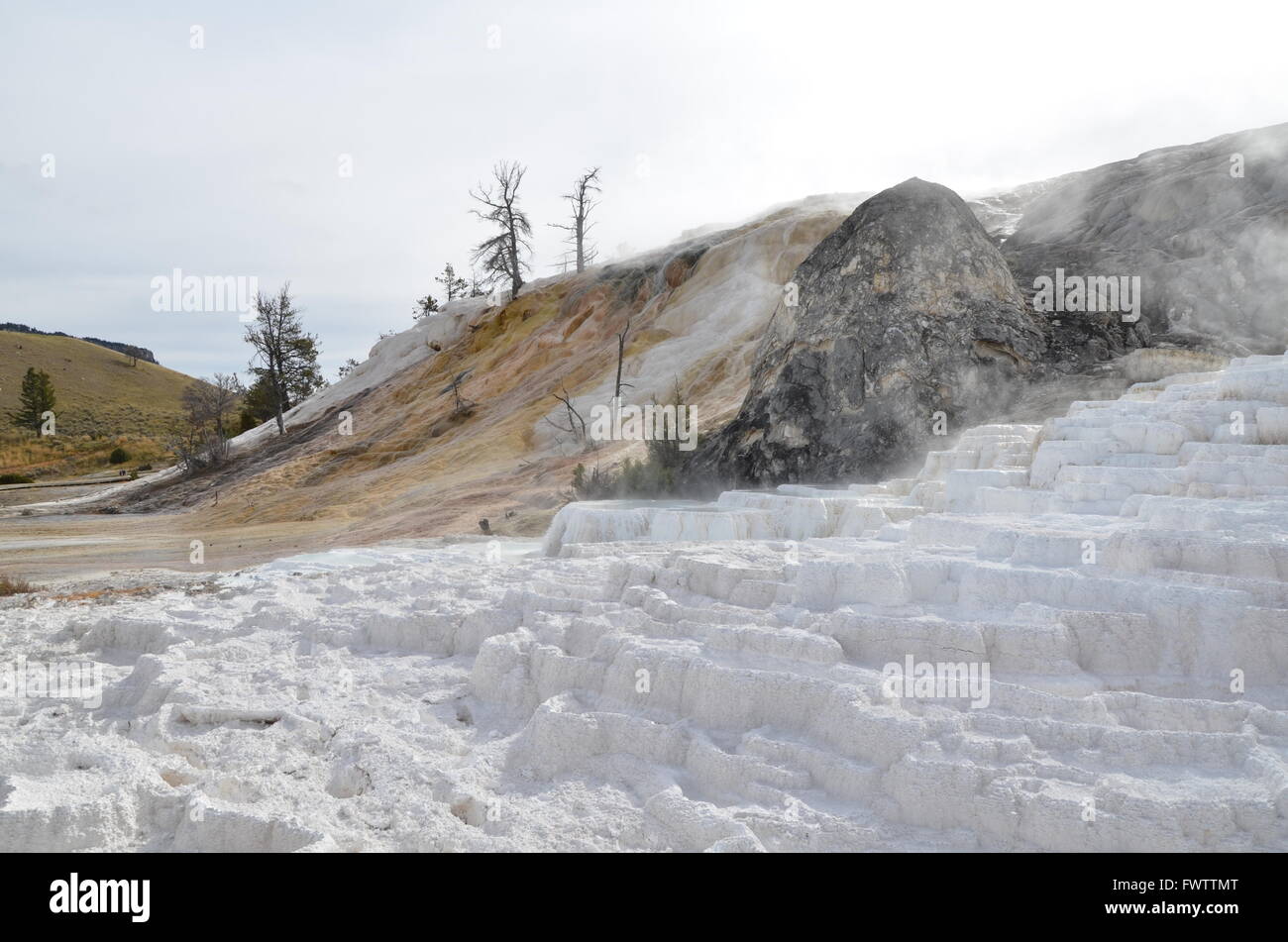 A scene from Yellowstone National Park Stock Photo - Alamy