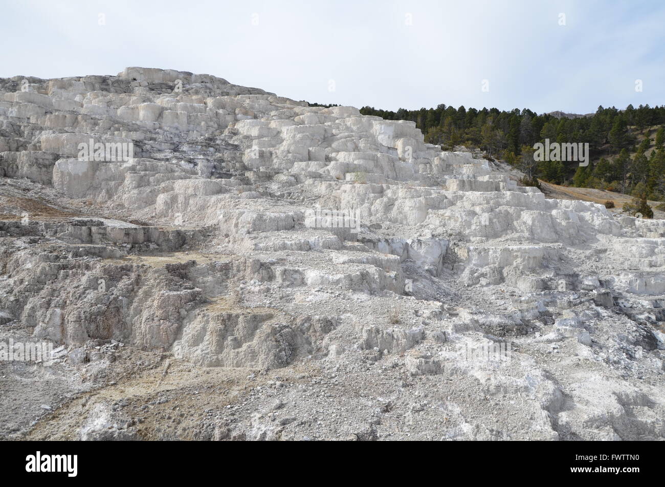 A scene from Yellowstone National Park Stock Photo - Alamy