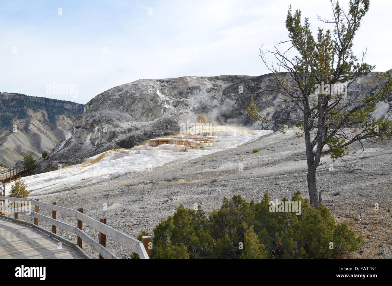 A scene from Yellowstone National Park Stock Photo - Alamy