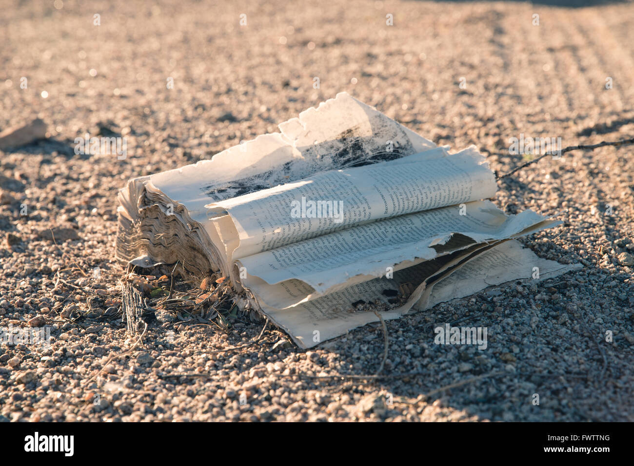 Book and stain hi-res stock photography and images - Alamy