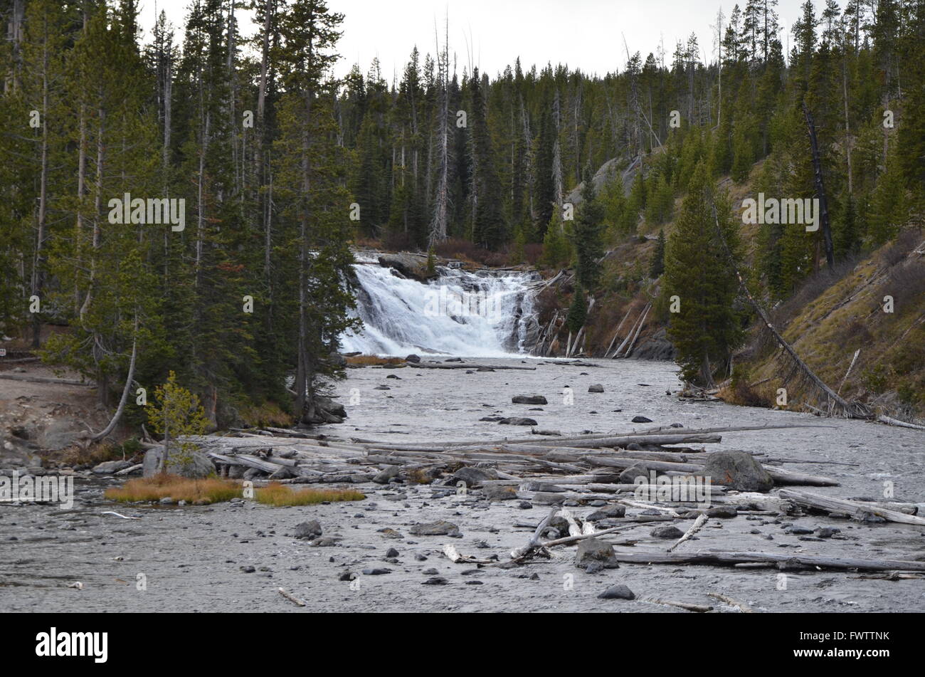 A scene from Yellowstone National Park Stock Photo - Alamy