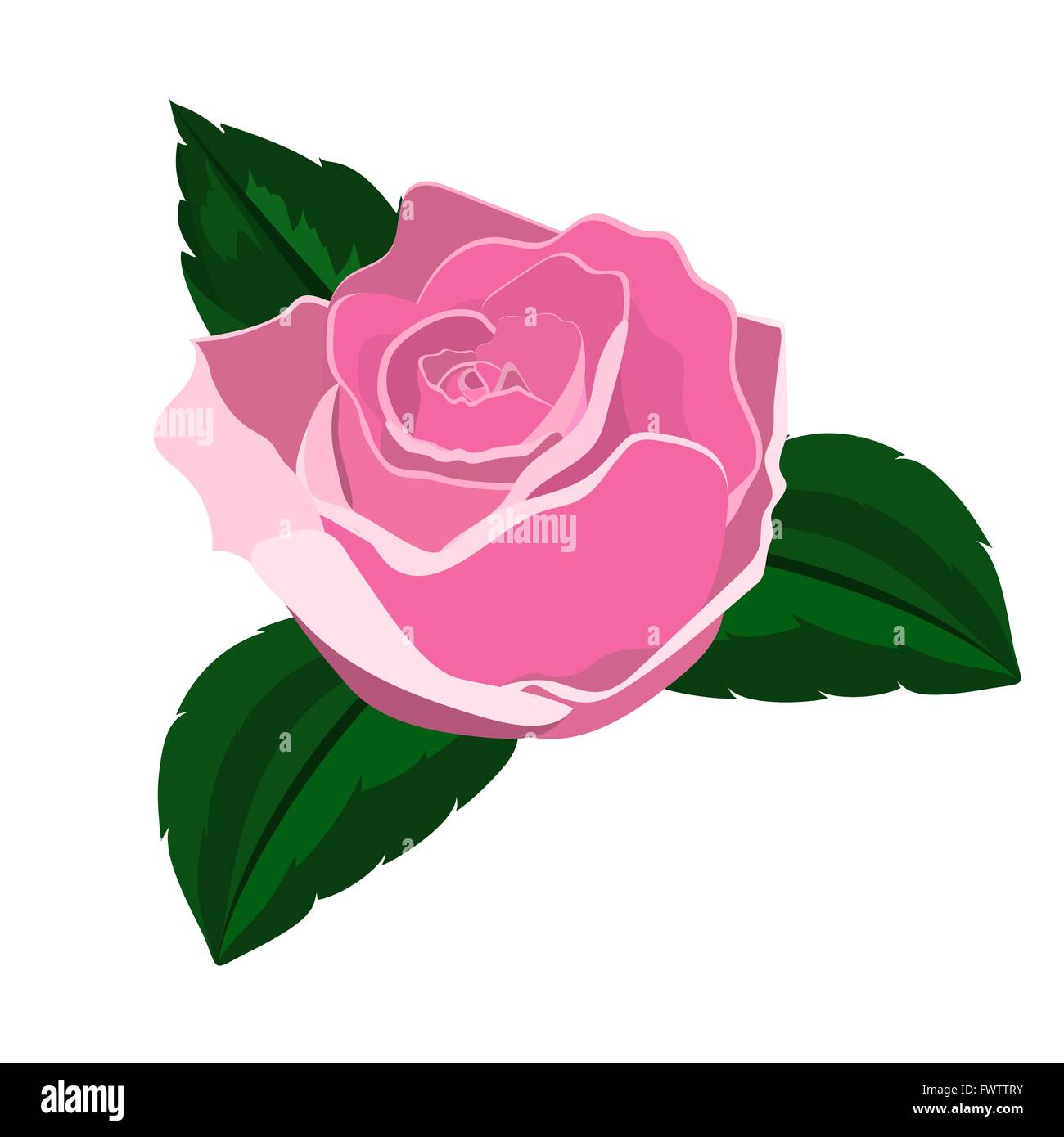 Rose one white elegant Stock Vector Images - Alamy