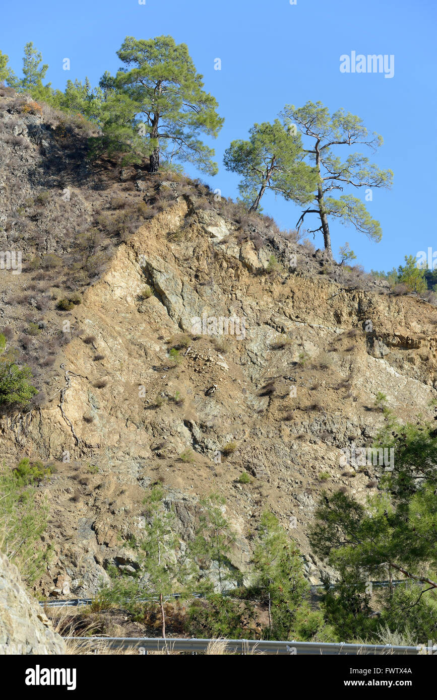 Paphos forest hi-res stock photography and images - Alamy