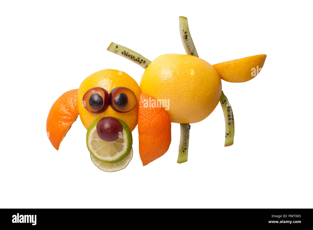 Dog in funny pose made of fruits on white background Stock Photo - Alamy