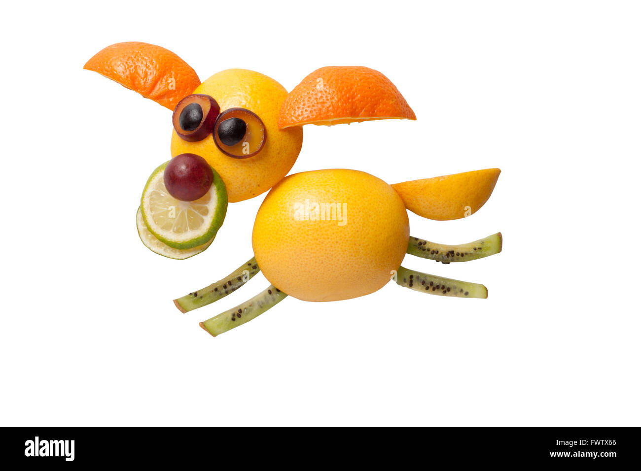 Funny flying dog made of fruits on isolated background Stock Photo - Alamy