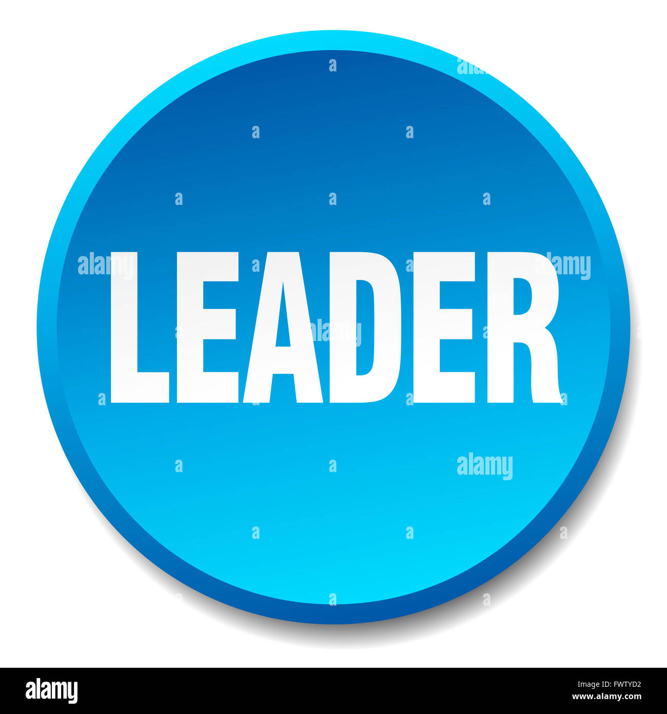 leader blue round flat isolated push button Stock Photo - Alamy