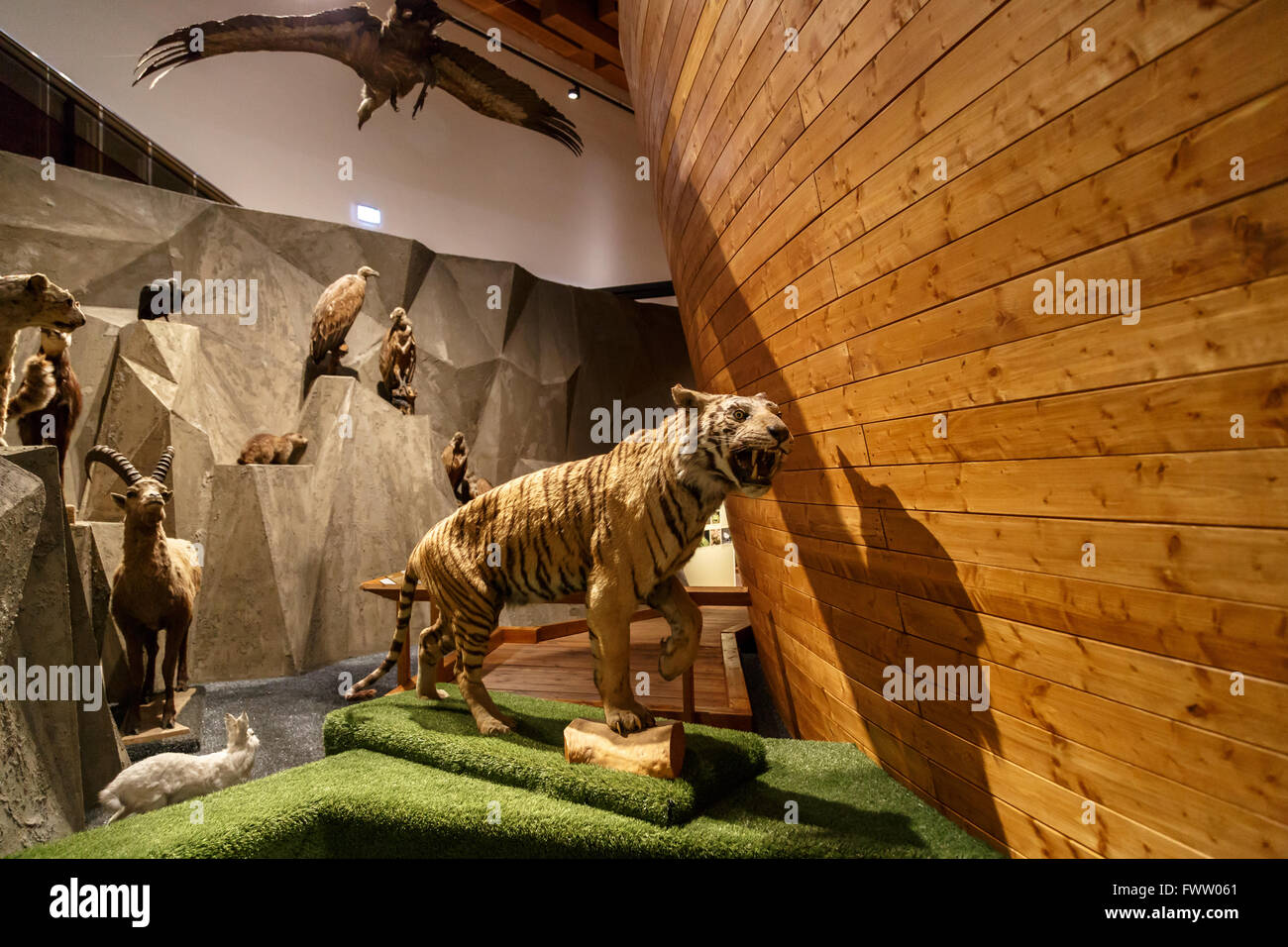 General view of mounted animals exhibited in Prague National Museum ...
