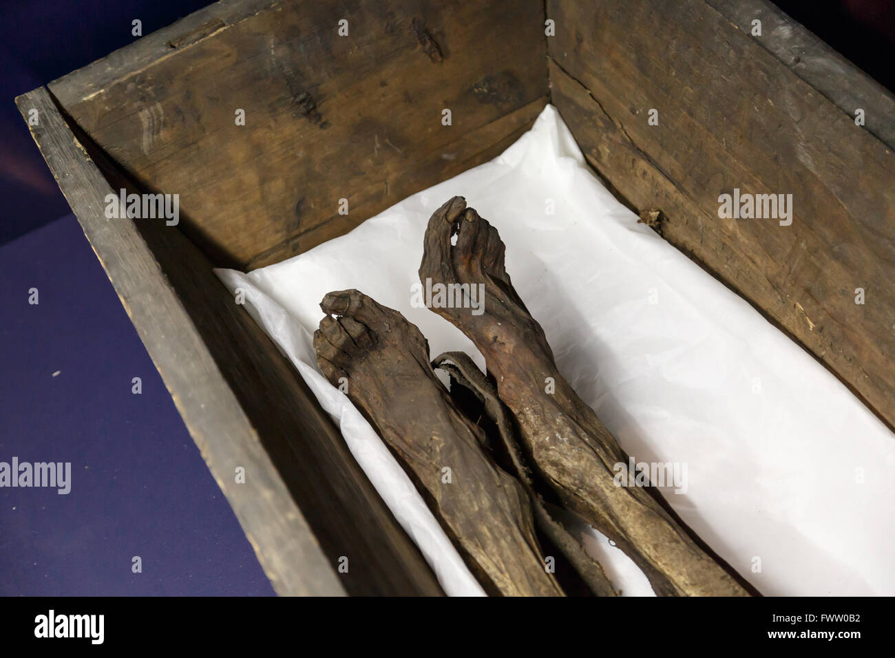Close up detailed view of a human body mummy exhibited in Prague ...
