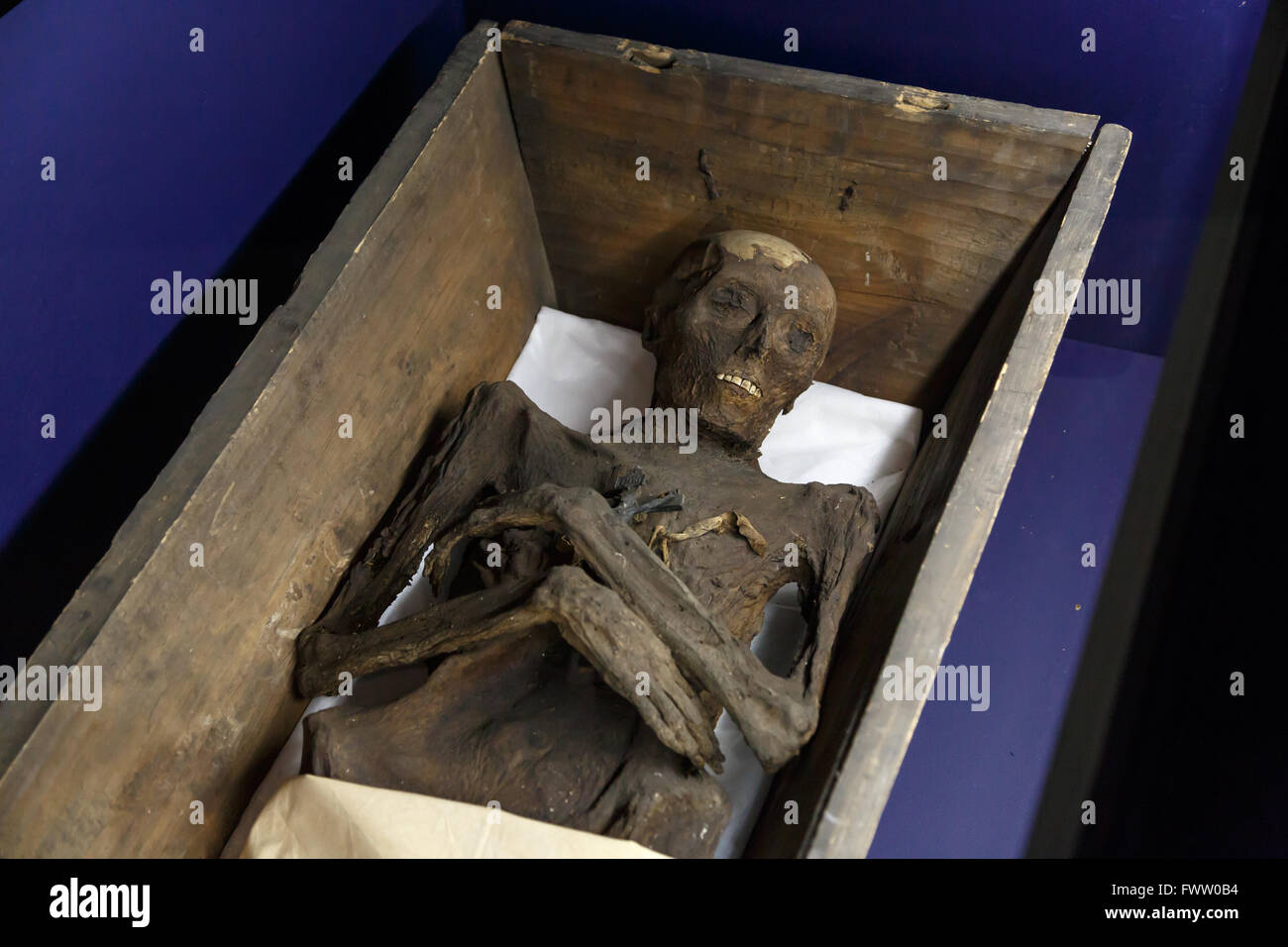 Close up detailed view of a human body mummy exhibited in Prague ...