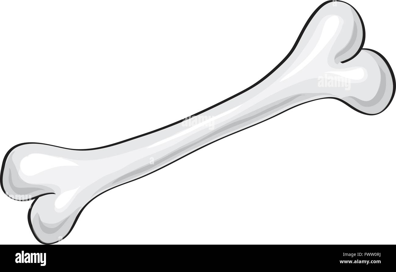 Bone icon vector Stock Vector Image & Art - Alamy