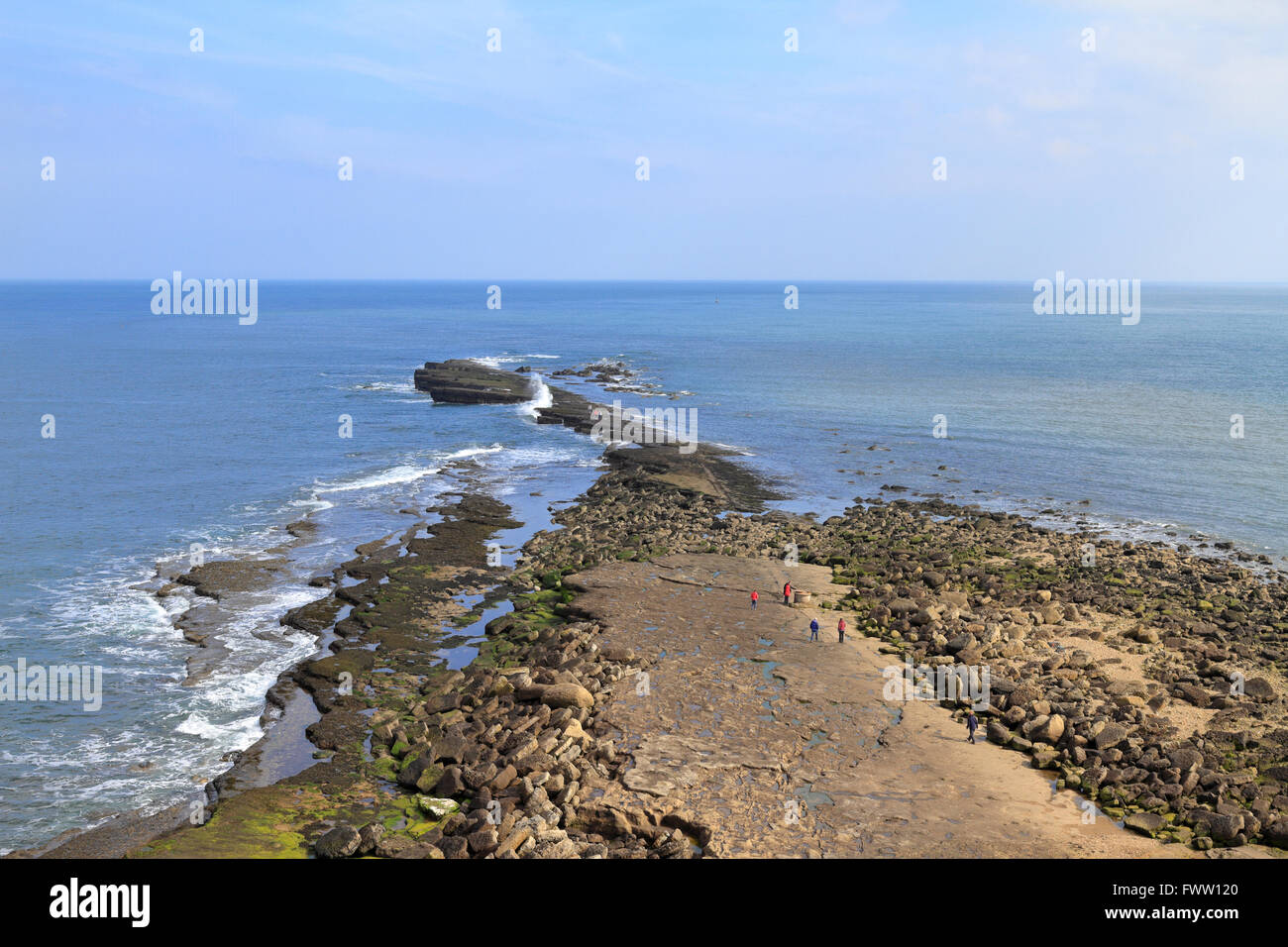 Walkers on Filey Brigg natural rock promontory, Filey, North Yorkshire ...
