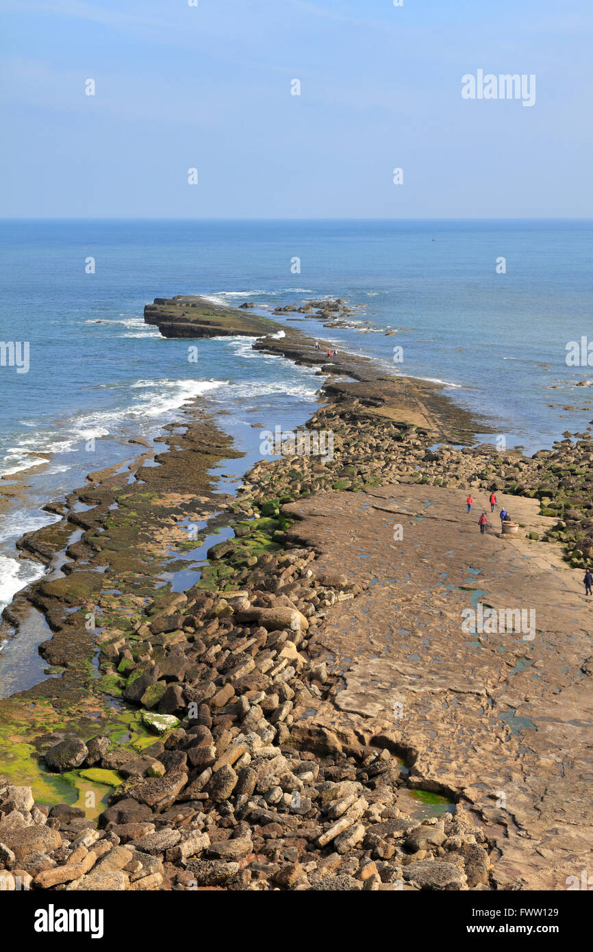 Walkers on Filey Brigg natural rock promontory, Filey, North Yorkshire ...