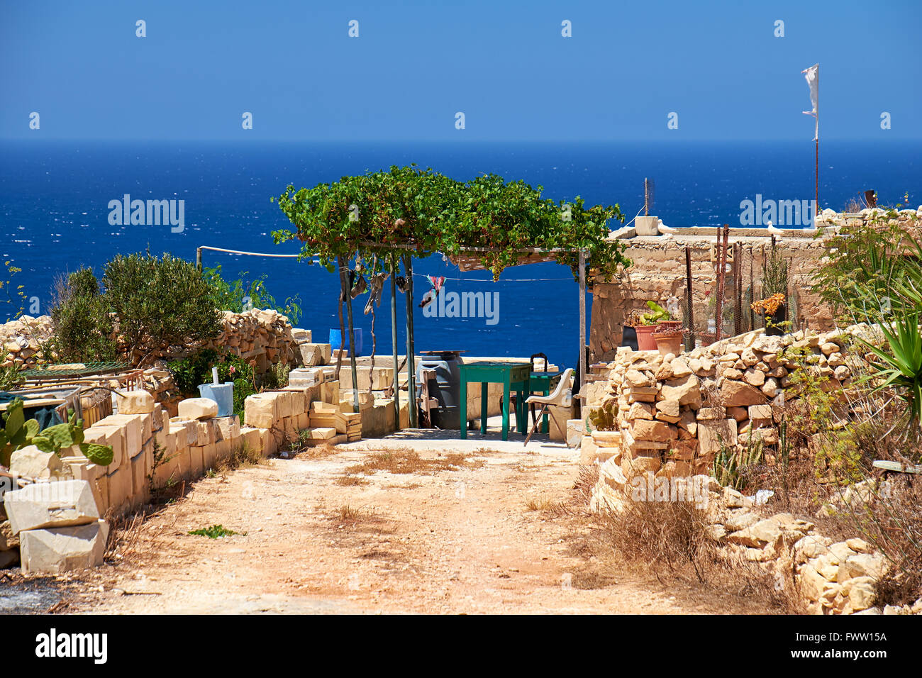 Old maltese bungalow yard with stone fence and vine-covered canopy on ...