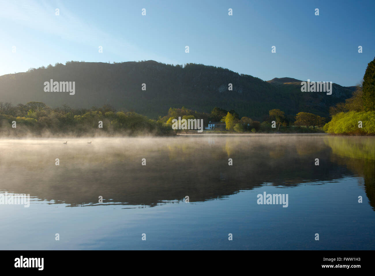 Early morning mist rising over Derwent Water in the Lake District ...