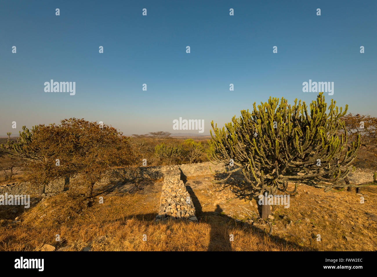 Naletale ruins in zimbabwe hi-res stock photography and images - Alamy
