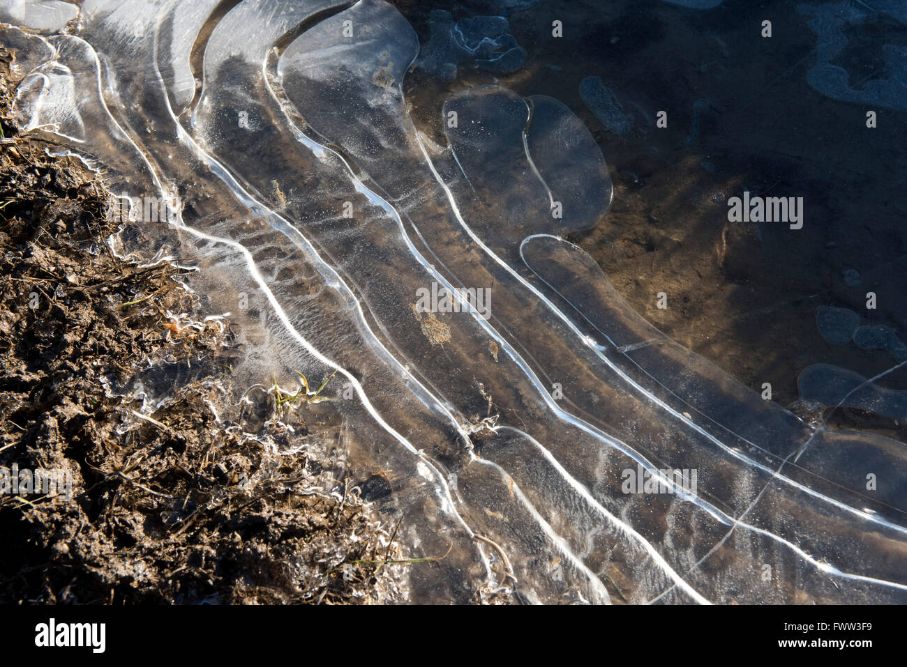 Tractor ruts hi-res stock photography and images - Alamy