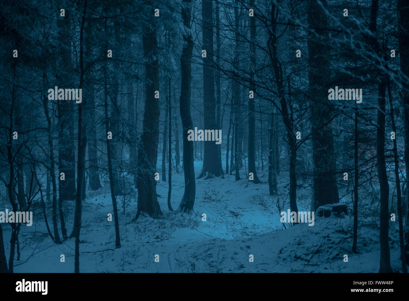 Scary cold hi-res stock photography and images - Alamy