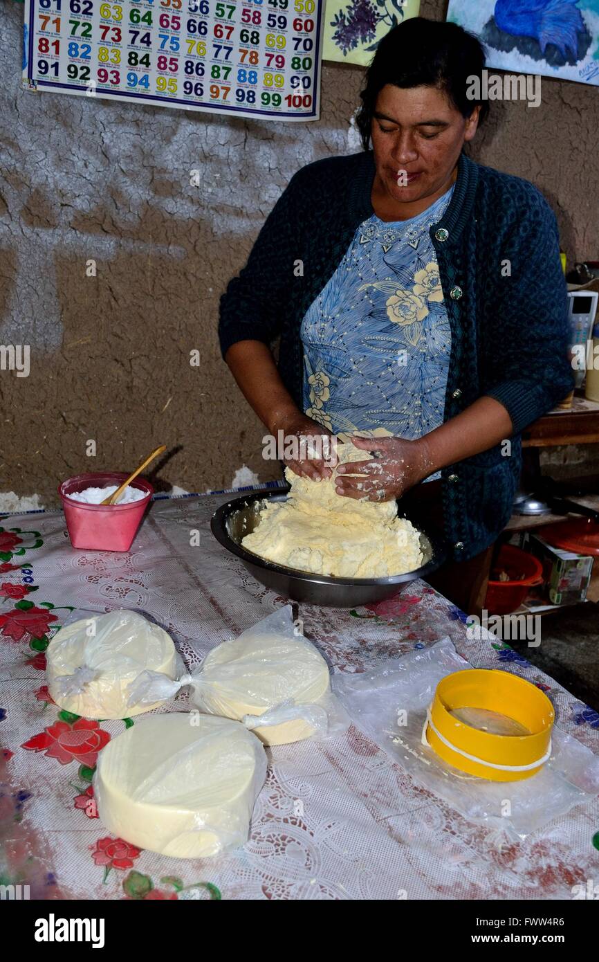 Elaboration of traditional cheese in Sapalache " Las Huaringas ...